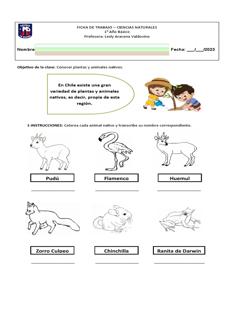 CIENCIAS Guía Animales y Plantas Nativas. | PDF | Hogar y jardín