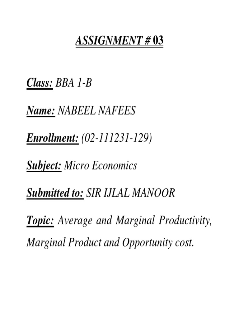 Micro Economics Assignment No 03 | Download Free PDF | Cost | Opportunity Cost