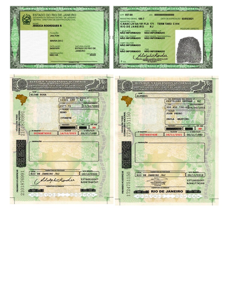 Matriz RJ CNH E RG | PDF | Lei Civil (Lei Comum) | Governo