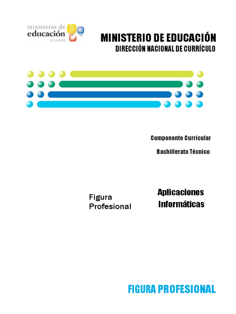 Figura Profesional Aplicaciones Informaticas Download Grátis Pdf
