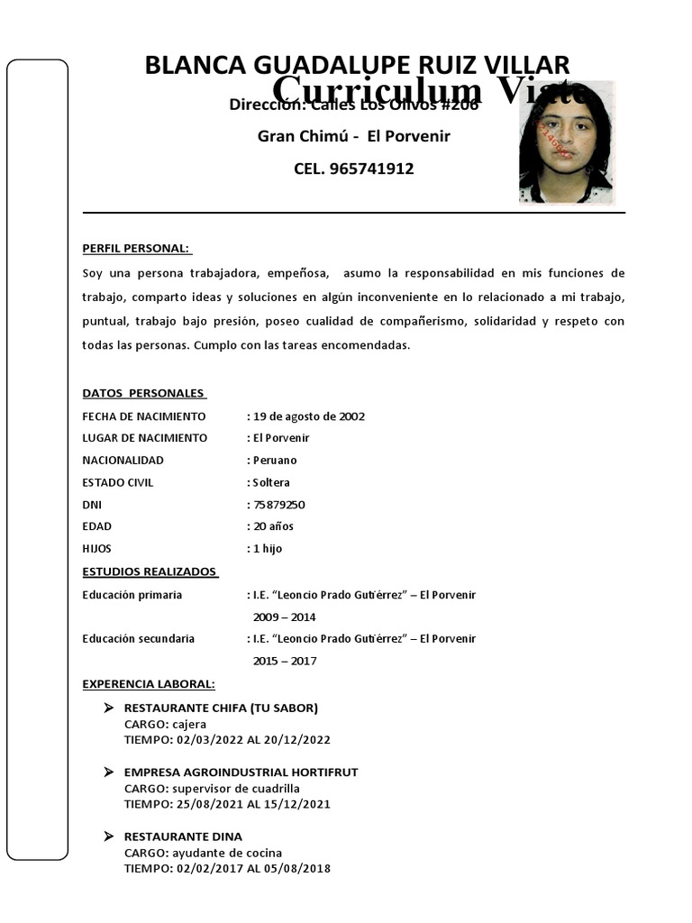 Curriculum Vitae Blanca Guadalupe Ruiz Villar | PDF