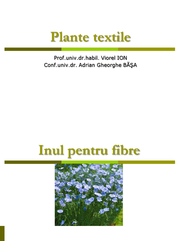 Plante Textile | PDF