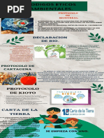 Suelos Fluvisoles: Importancia y Uso | PDF | Suelo | Riego