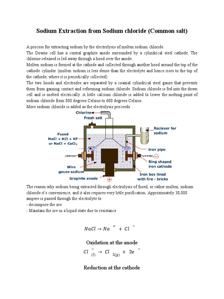 Sodium Extraction From Sodium Chloride (Common Salt) | PDF | Chlorine | Sodium