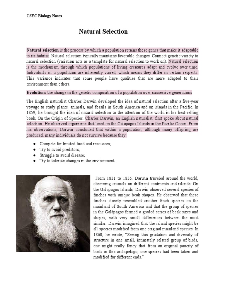 CSEC Biology - Natural Selection | PDF | Science & Mathematics