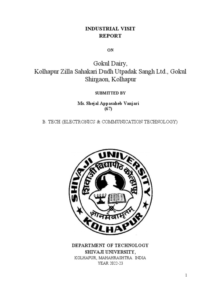 IV Report | PDF