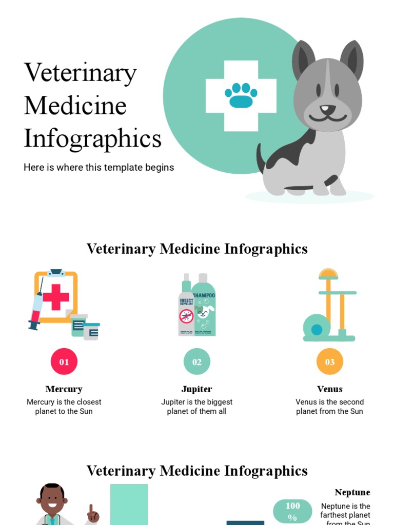 Veterinary Medicine Infographics | PDF