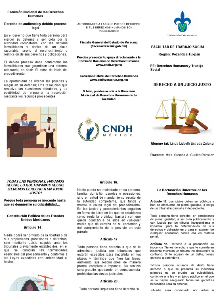 Folleto de Derecho A Un Juicio Justo | PDF | Debido al proceso | Justicia