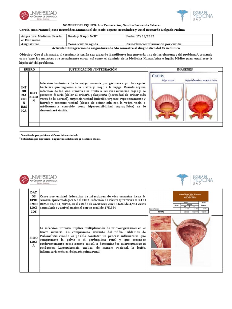 Cuadro Cistitis | PDF