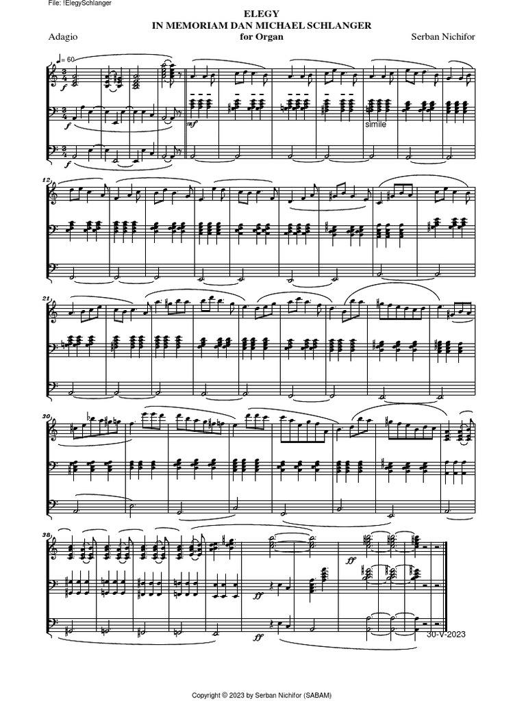 ELEGY - IN MEMORIAM DAN MICHAEL SCHLANGER - by Serban Nichifor | PDF