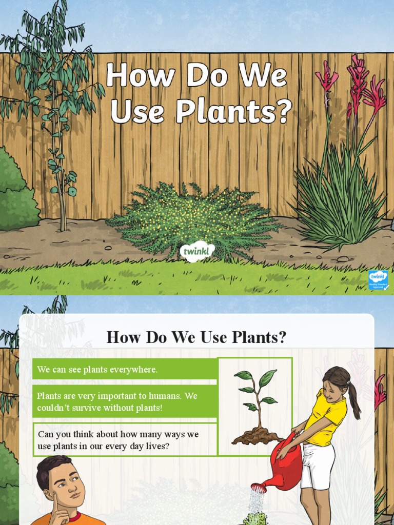 How Do We Use Plants | PDF