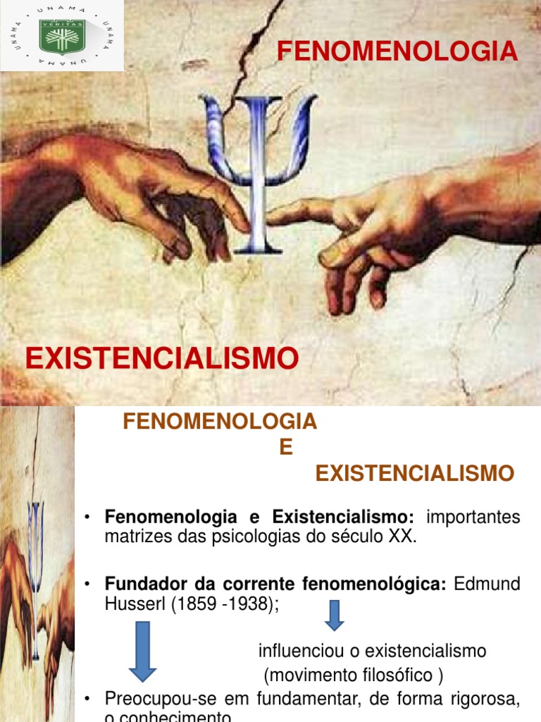 Fenomenologia e Existencialismo | PDF