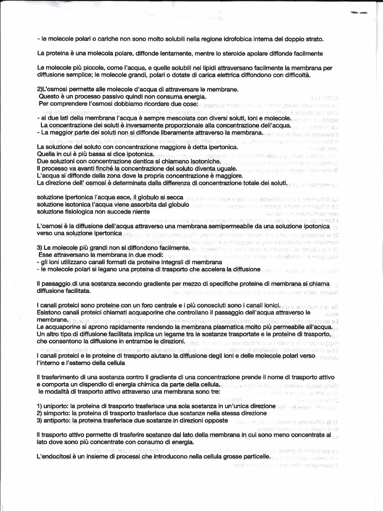Appunti Di Scienze 4 | PDF
