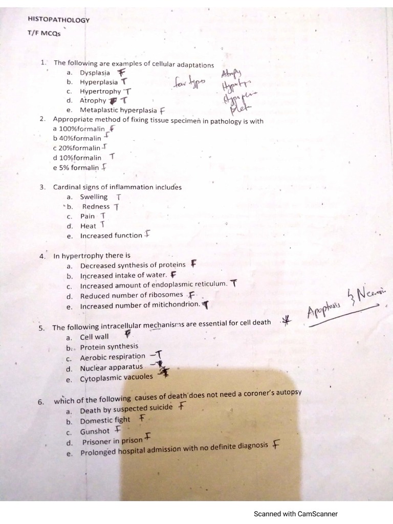 Answer Histo Cmda | PDF