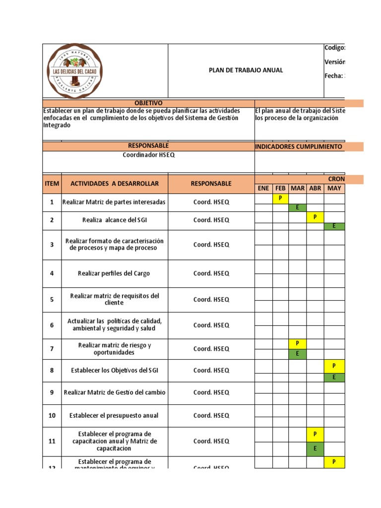 PN-HSEQ-06 Plan de Trabajo Anual | PDF
