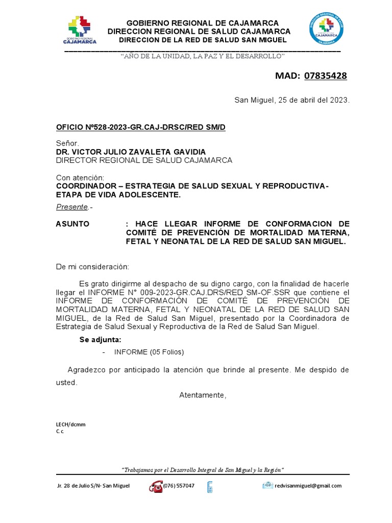 Modelo de Oficio para Diresa | PDF