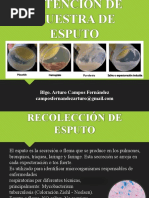 Recolección de Esputo y Secreciones en Enfermería | PDF | Tos | Neumonía