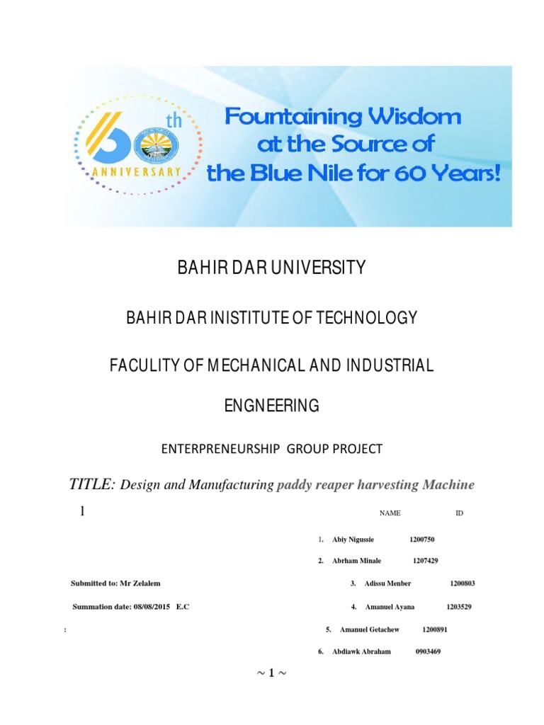 Bahir Dar University Entrepreneurship Project | PDF | Partnership | Pricing