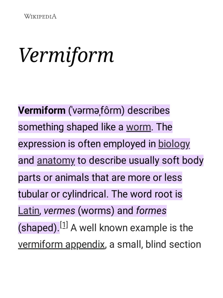 Vermiform - Wikipedia-1 | PDF