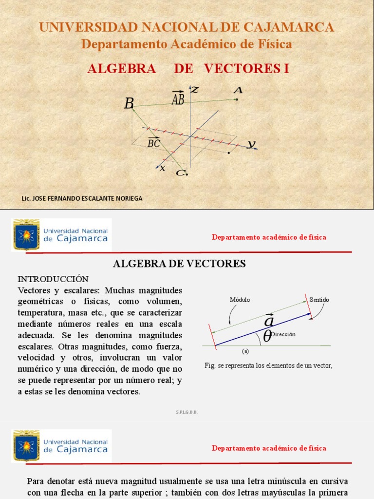 Física I Vectores Semana 1 | PDF | Vector Euclidiano | Escalar (Matemáticas)