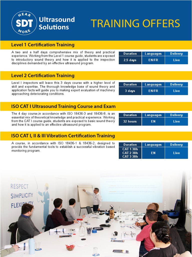 SDT Training EN | PDF