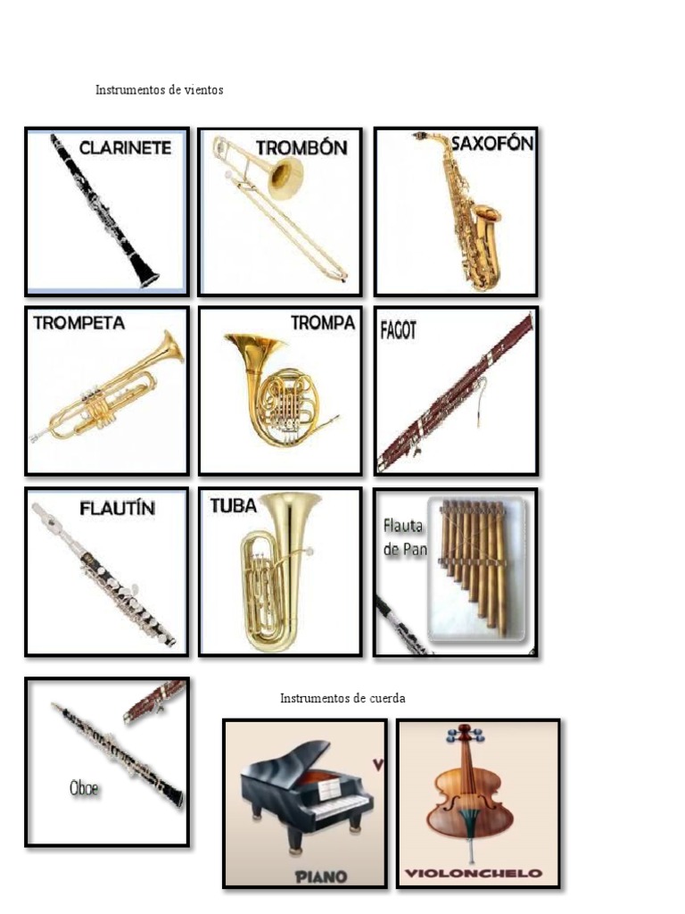 Instrumentos de Vientos, Cuerda y Persecucion | PDF