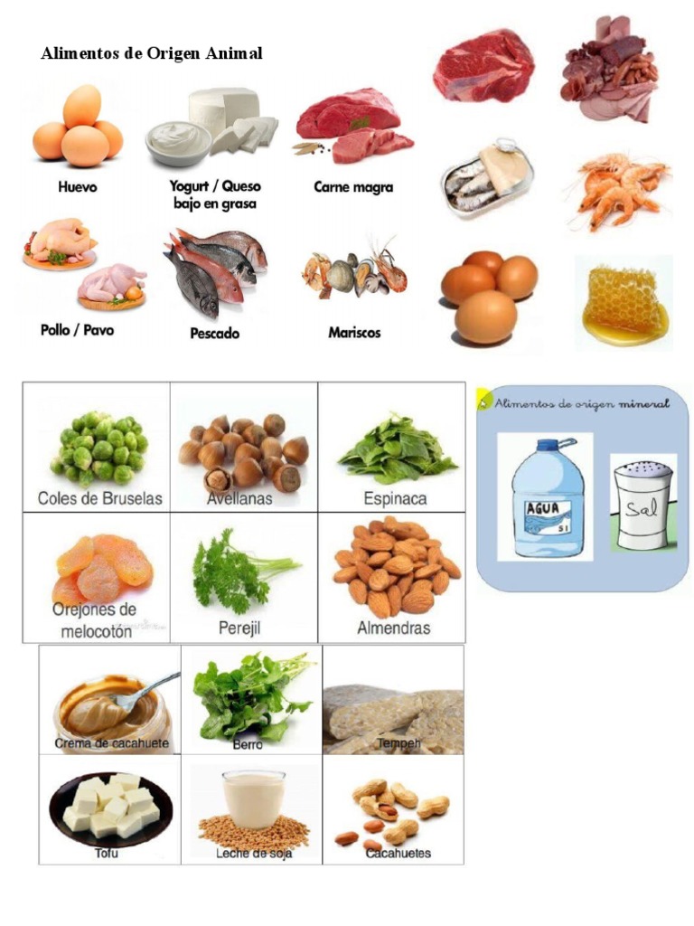 Ejemplos de Alimentos de Origen Animal | PDF | Alimentos | Vegetales