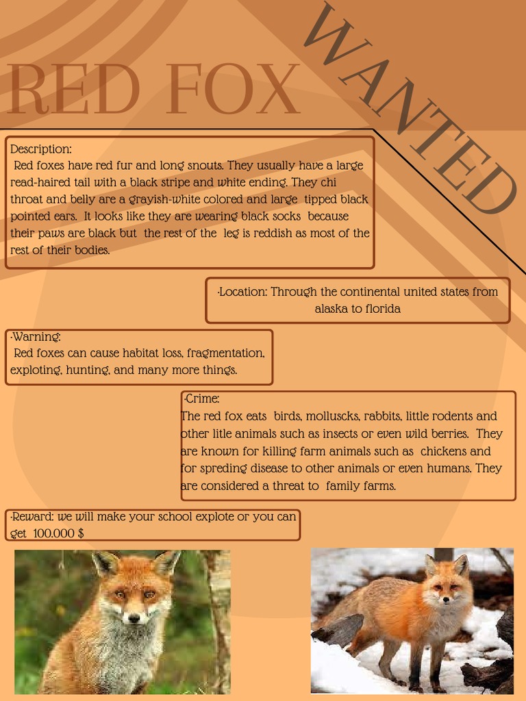 Red Fox | PDF
