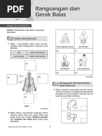 Science Form 3 Textbook Answers | PDF | Respiratory System | Heart