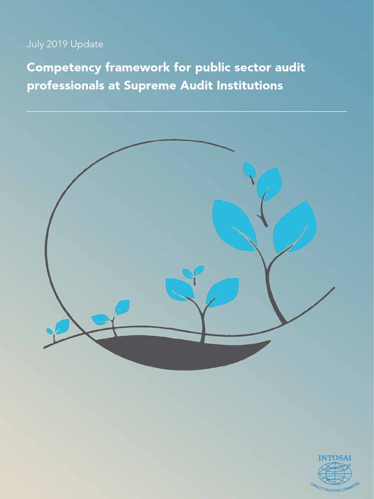 INTOSAI Competency Framework Revised | Download Free PDF | Audit ...