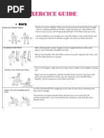 Upper Body Thera Band Exercise Program - Basic | PDF | Elbow | Arm