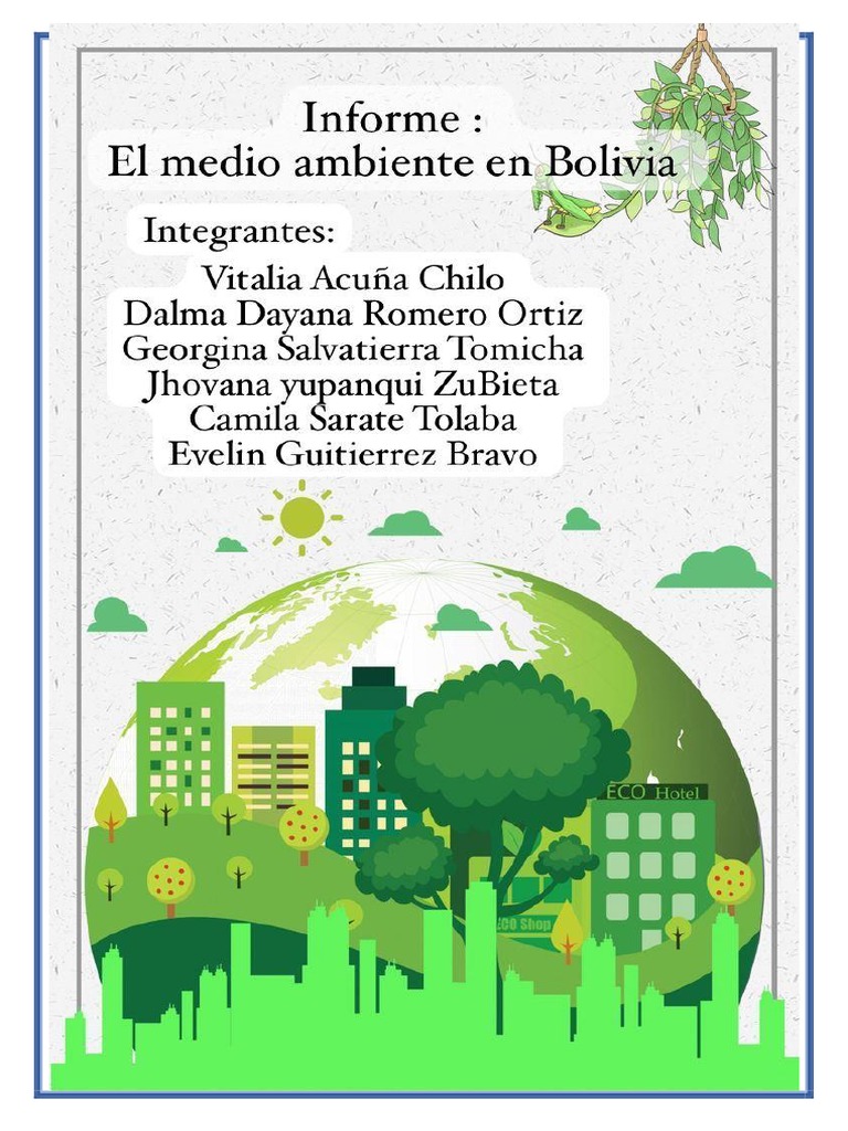 El Medio Ambiente en Bolivia | PDF