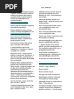 Cálcio e Contração Muscular | PDF | Músculo | Potencial de ação