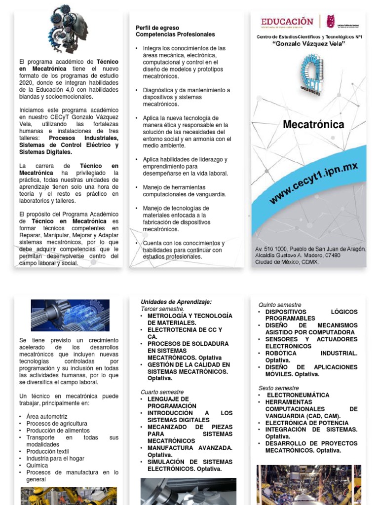 Triptico MECATRÓNICA | PDF | Ciencias fisicas | Ingeniería