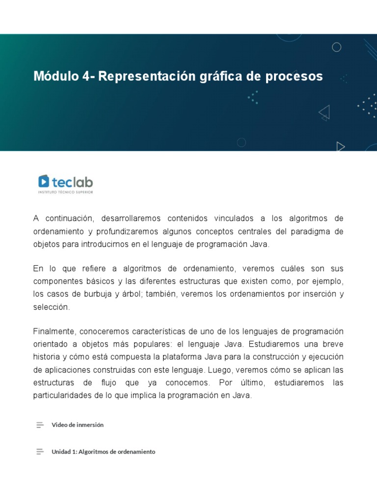 Módulo 4 - Representación Gráfica de Procesos | PDF | Java (lenguaje de programación) | Objeto ...