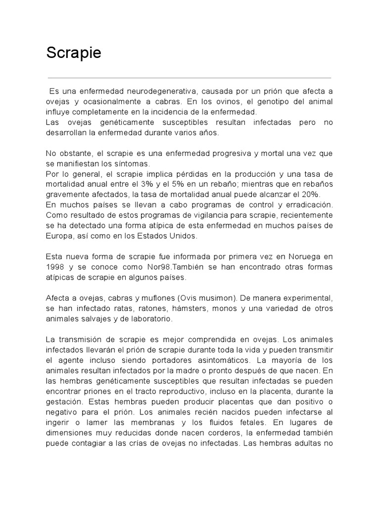 Scrapie en Ovejas y Cabras: Información Clave | PDF | Oveja | Medicina ...