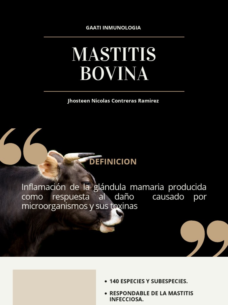 Mastitis Bovina | PDF | Inflamación | Infección