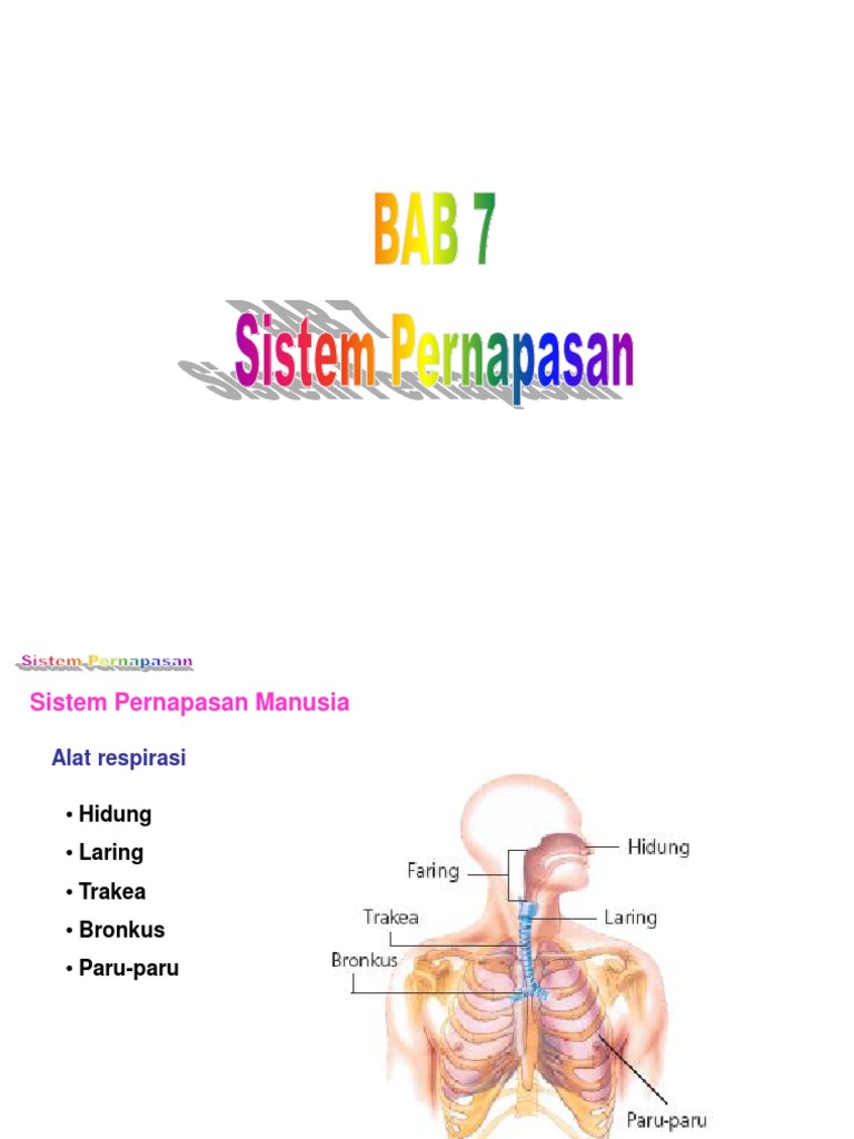 Bab 7 1 | PDF