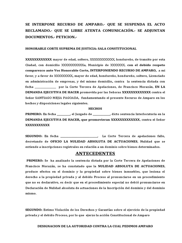 Se Interpone Recurso de Amparo | PDF