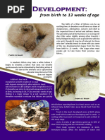 lt0001 Mouse Pup Appearance | PDF | Mammals