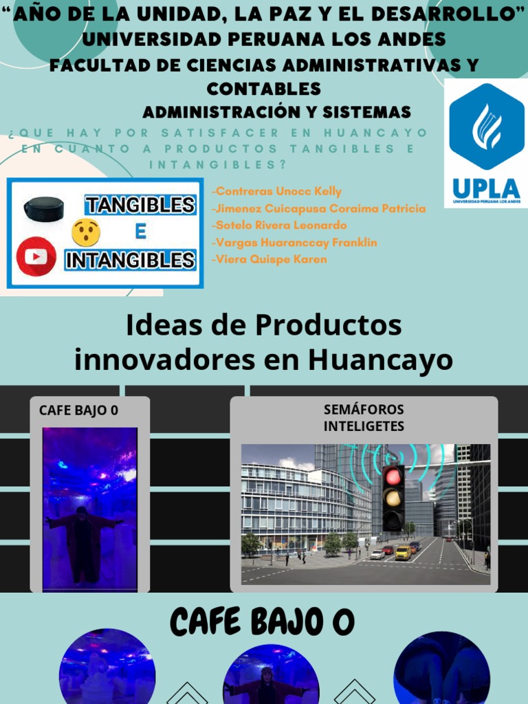 Productos Tangibles e Intangibles | PDF