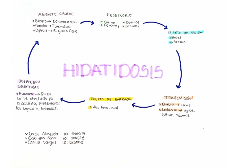Cadena de Infección | PDF