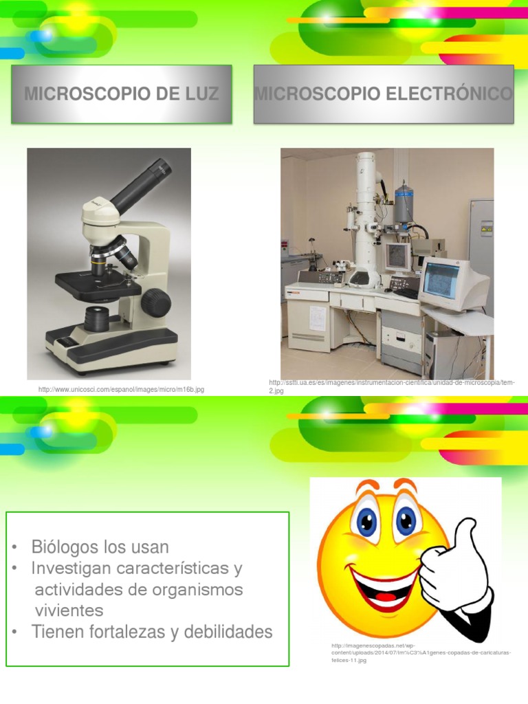 4 - Microscopios | PDF | Microscópio electrónico escaneando | Microscopio