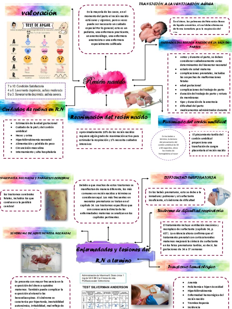 Recien Nacido - Mapa Mental | PDF