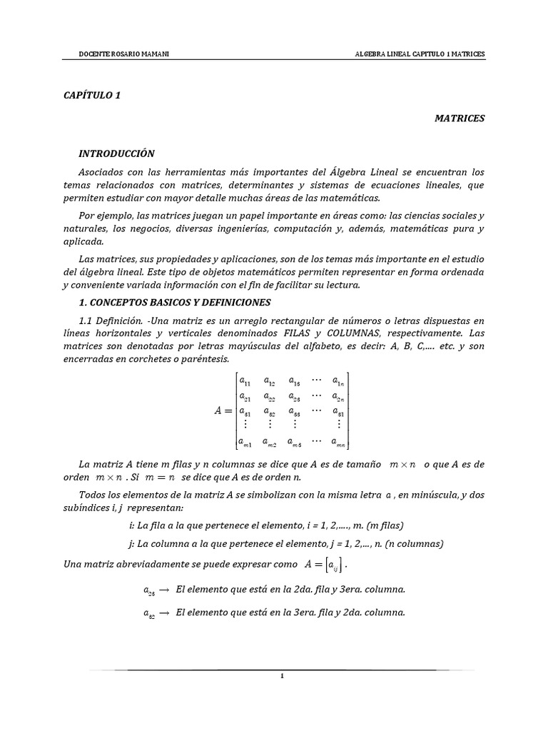 Introducción a Matrices en Álgebra Lineal | PDF | Matriz (Matemáticas ...