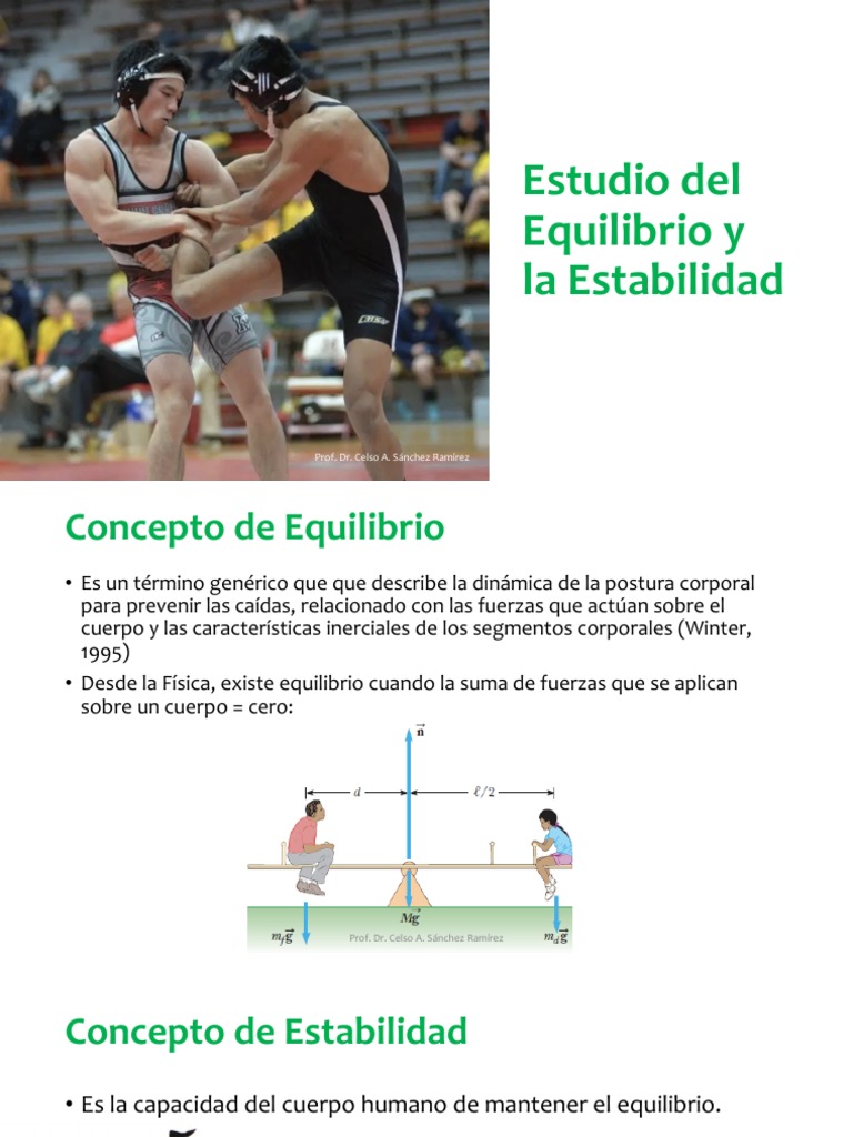 Clase Estabilidad y CG | PDF | Física