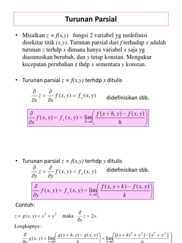 Contoh dan Rumus Turunan Parsial | PDF