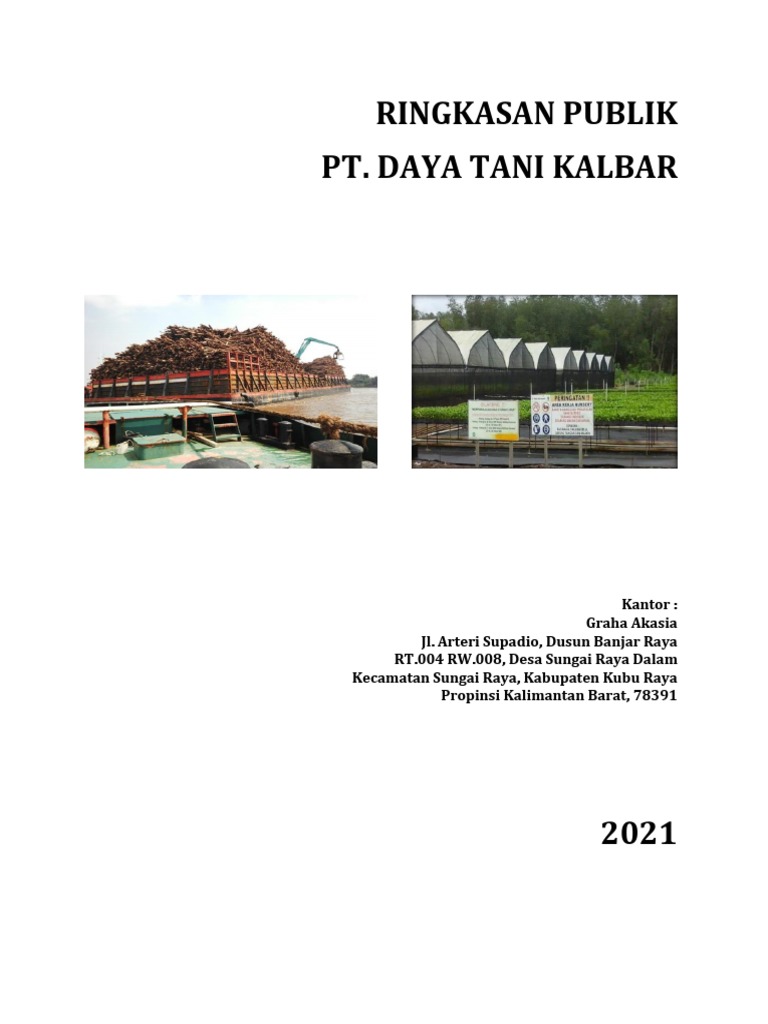 Ringkasan Publik Pt. DTK - 2021 - Final | PDF