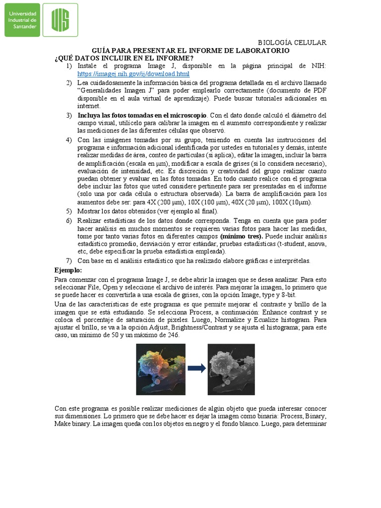 Guía Presentación de Informe Lab 4 - 2023 | PDF