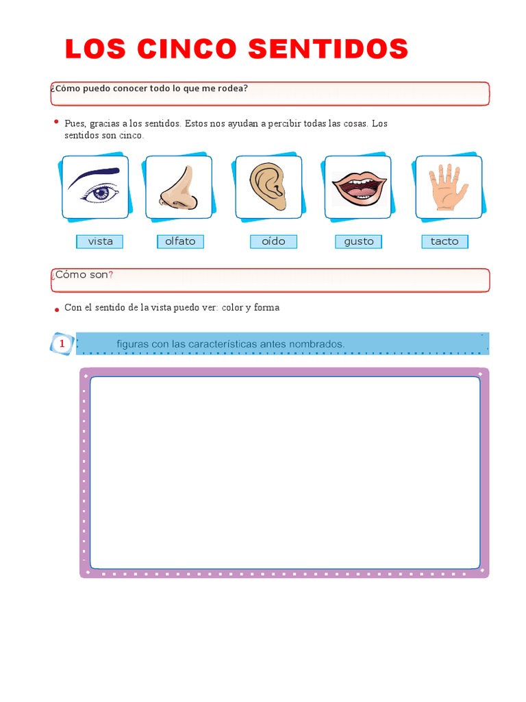 Ficha de Los Cinco Sentidos | PDF